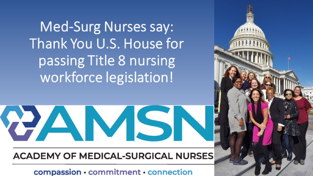 AMSN Legislative Brief October 2019