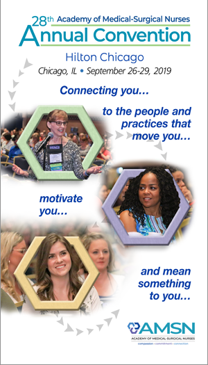 A Look Back on the First AMSN Digital Convention